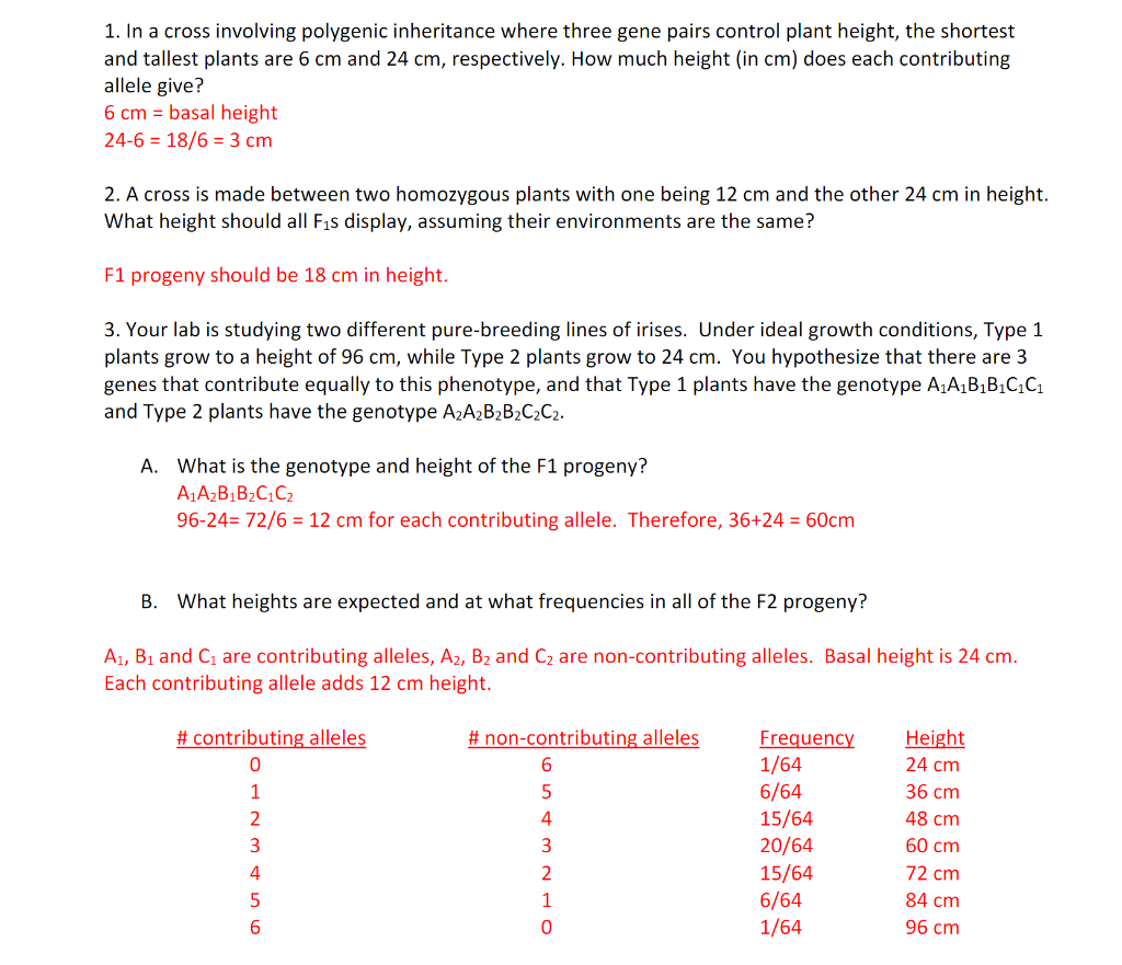 Solved The Answer To The Questions Are In Red I Am Needing Chegg