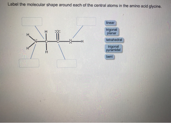 Solved Label the molecular shape around each of the central | Chegg.com