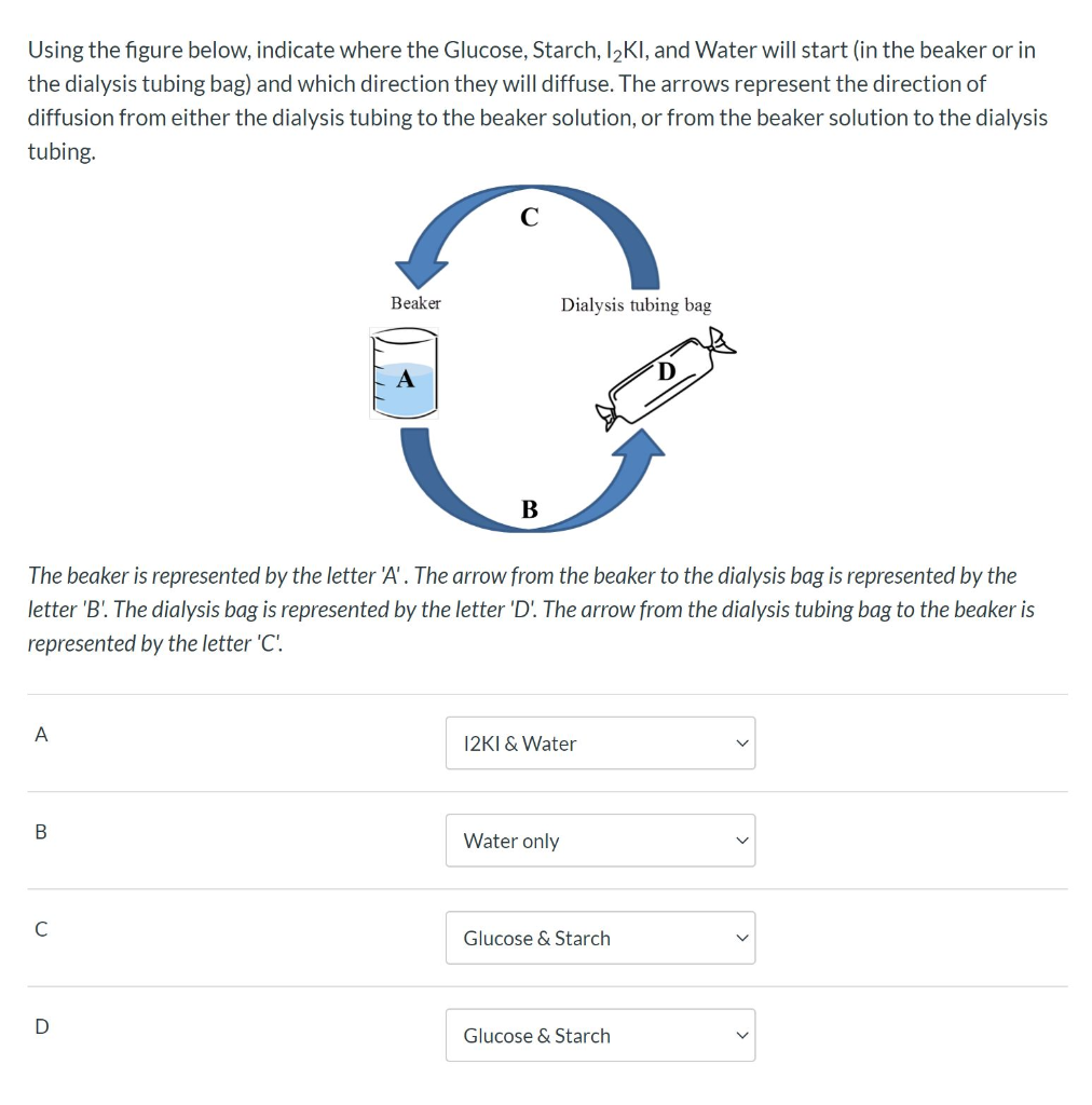 Solved Using the figure below, indicate where the Glucose, | Chegg.com