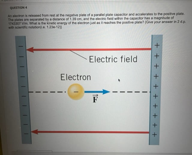 Solved An electron is released from rest at the negative | Chegg.com