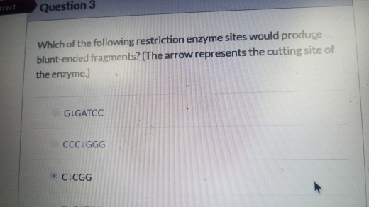 Solved The enzyme reverse transcriptase synthesizes RNA from | Chegg.com