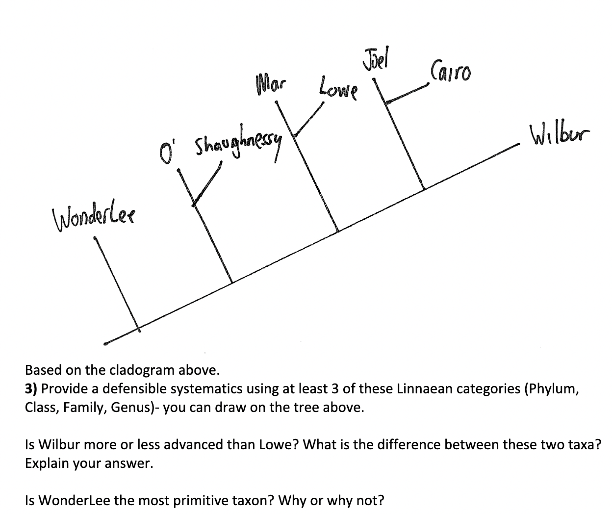 Solved Based on the cladogram above. 3) Provide a defensible | Chegg.com