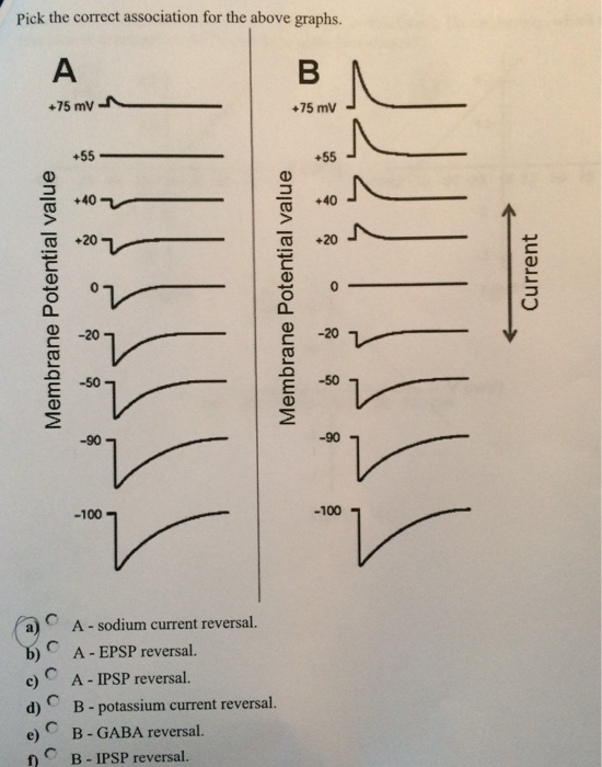 Solved Pick the correct association for the above graphs. | Chegg.com