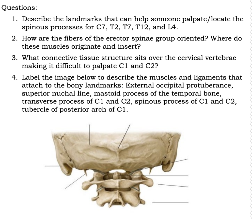 Solved Questions: 1. Describe the landmarks that can help | Chegg.com
