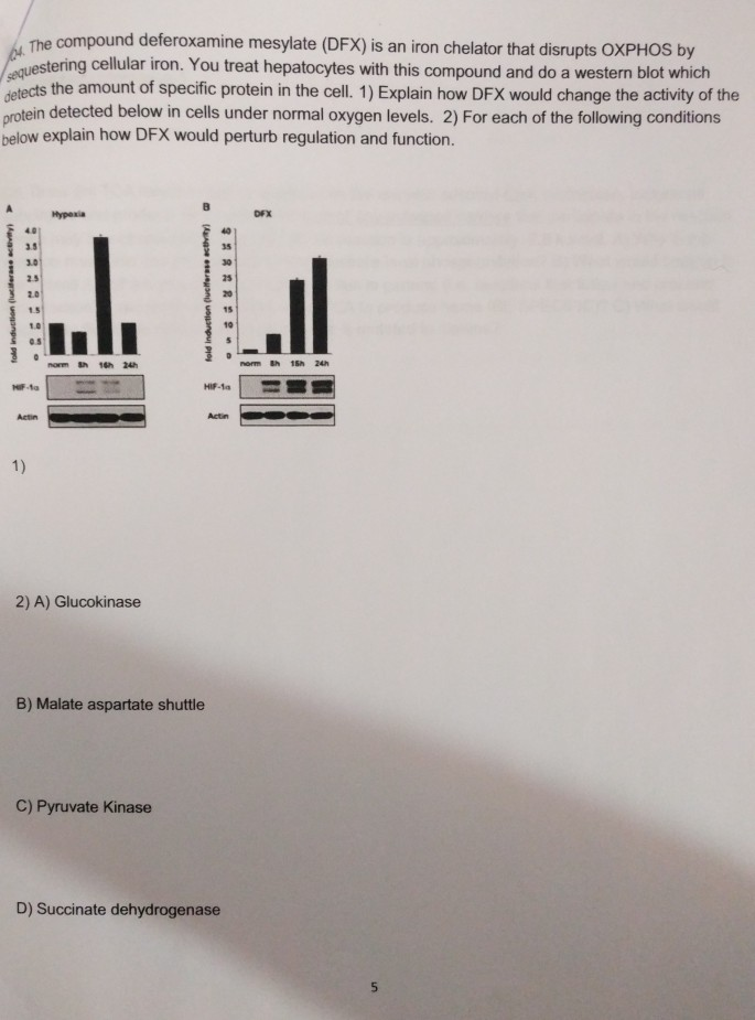 Solved 4. The com The compound deferoxamine mesylate (DFX) | Chegg.com