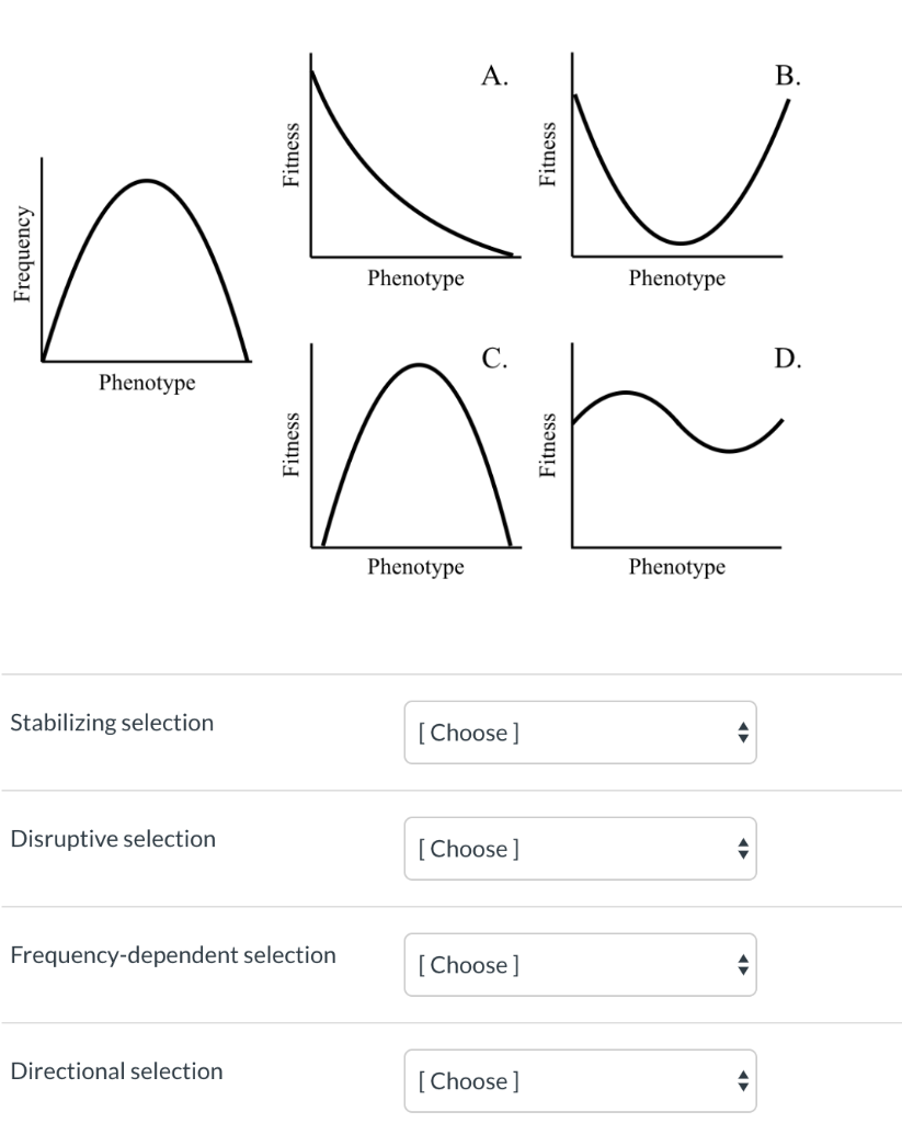 Solved Fitness Fitness Frequency Phenotype Phenotype | Chegg.com