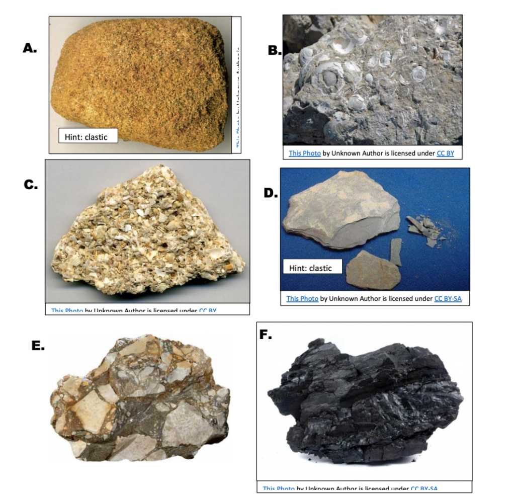 Sedimentary Rock Types Names