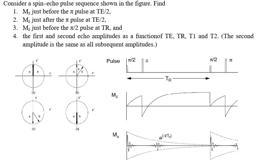 Solved Consider a spin-echo pulse sequence shown in the | Chegg.com