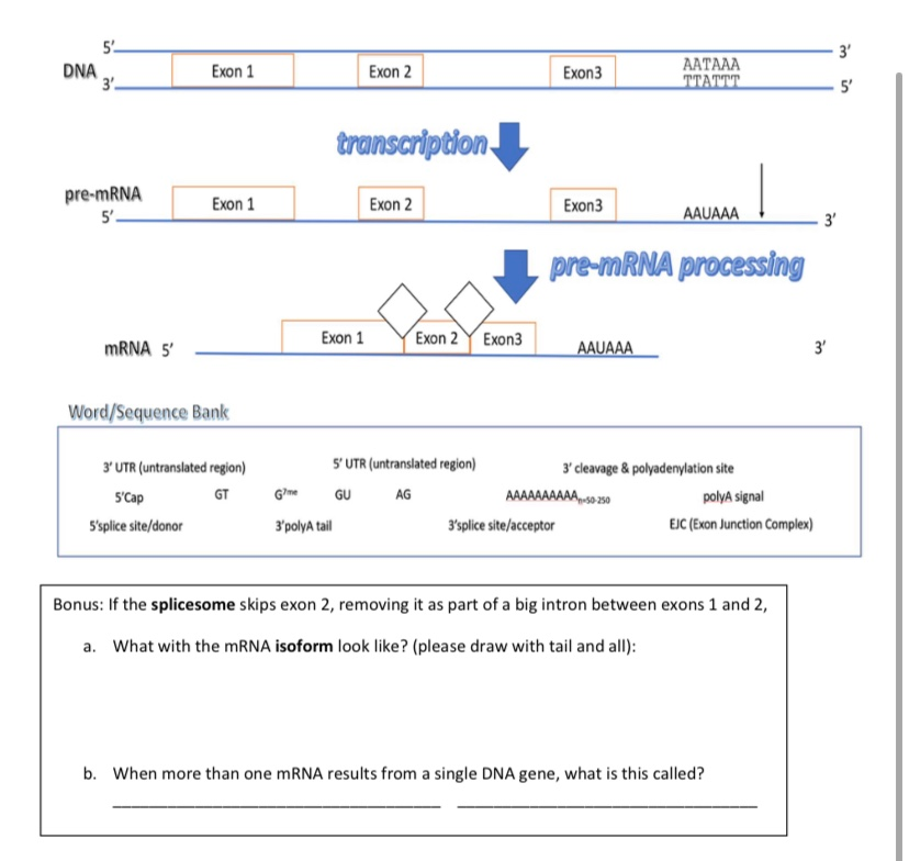 Solved 1. (0.15 pts) Instructions: fill in the table below. | Chegg.com