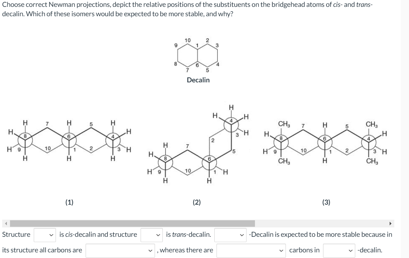 Solved Choose correct Newman projections, depict the | Chegg.com