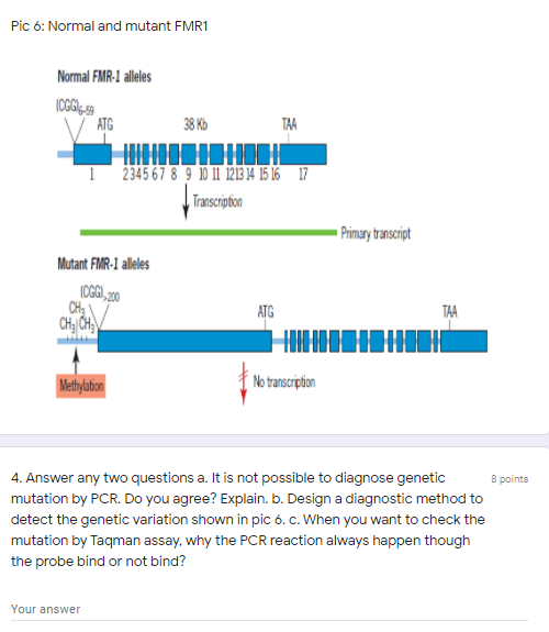 Solved Pic 6: Normal and mutant FMR1 Normal FMR-1 alleles | Chegg.com