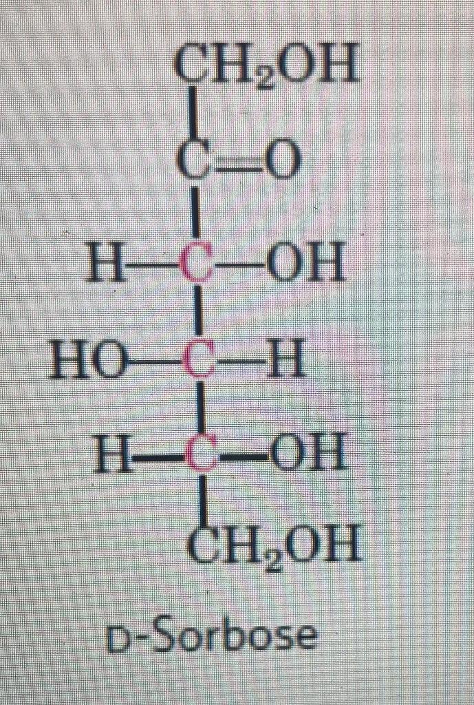 Solved Draw the pyranose form in the Haworth perspective | Chegg.com