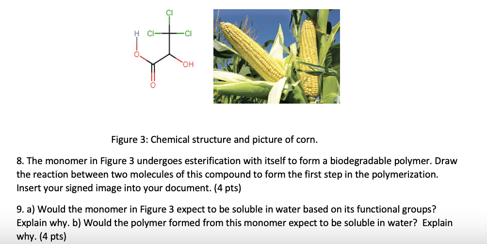 Solved CI CI OH AA EE Figure 3: Chemical structure and | Chegg.com