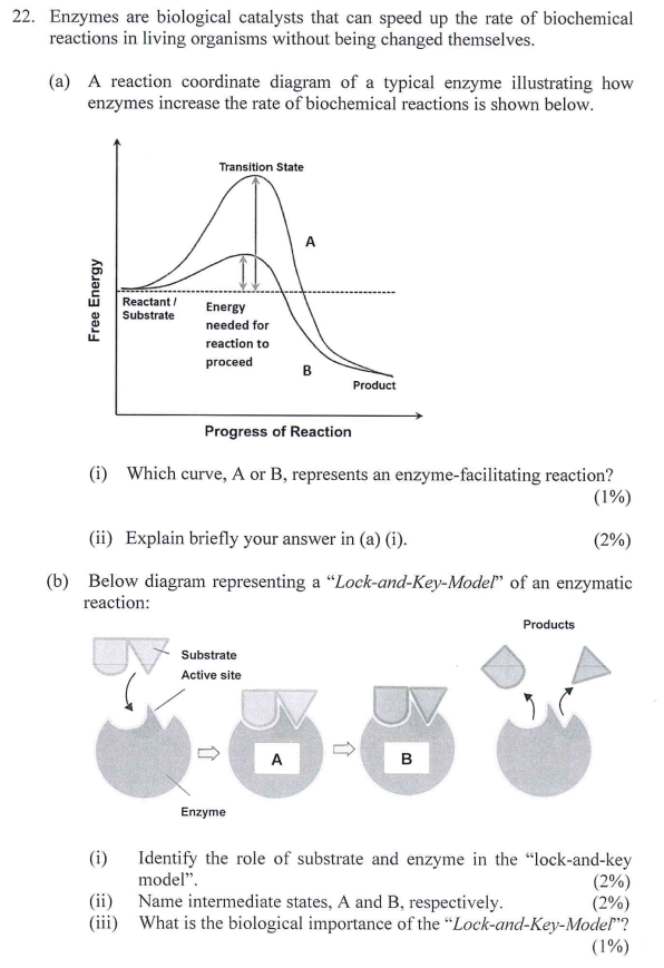 Solved 22. Enzymes are biological catalysts that can speed | Chegg.com