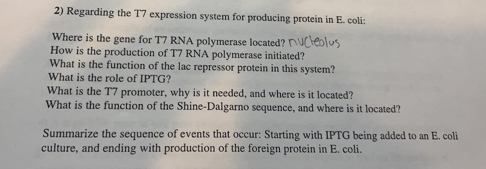Solved 2) Regarding the T7 expression system for producing | Chegg.com