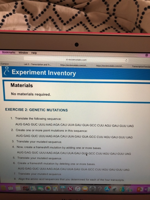 Solved Window Help Lab 5 Transcription and Tr. Experiment | Chegg.com