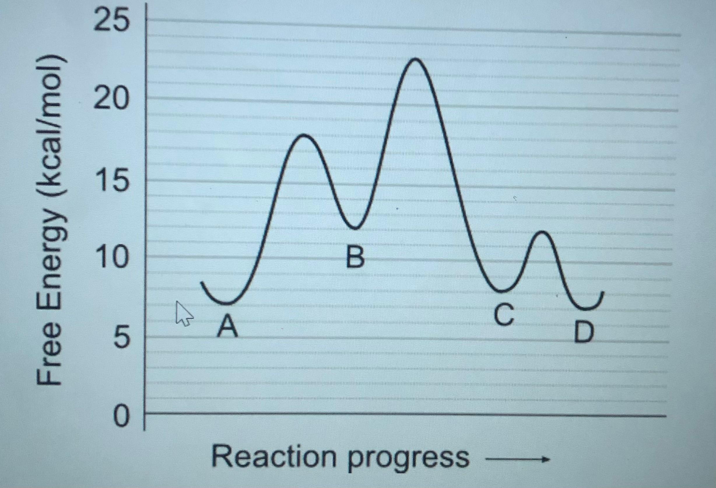 Solved Use the reaction energy diagram above to answer the | Chegg.com