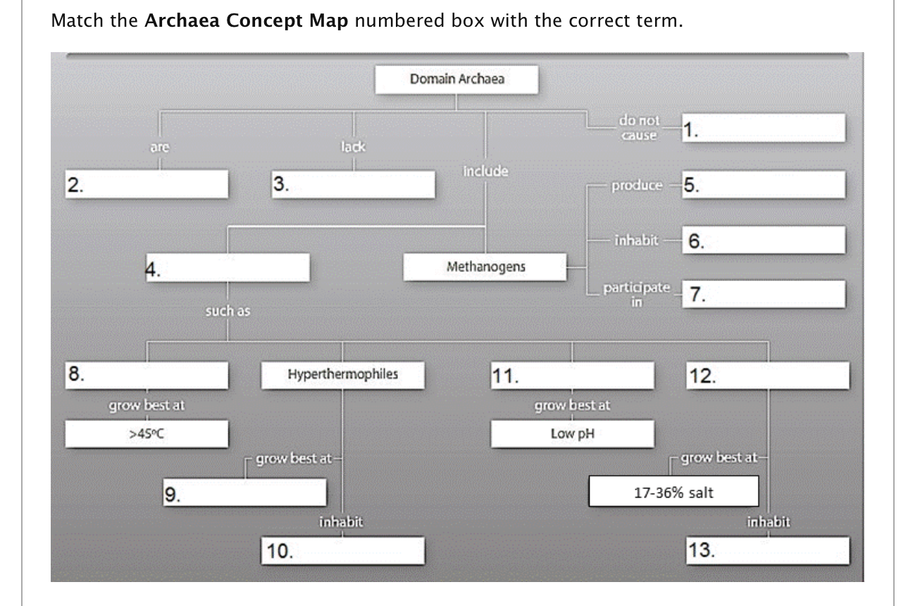 Solved Match the Archaea Concept Map numbered box with the | Chegg.com