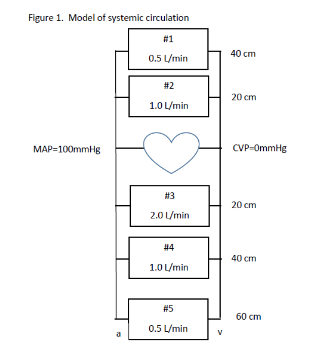 Solved Figure 1 presents a simple model of a systemic | Chegg.com