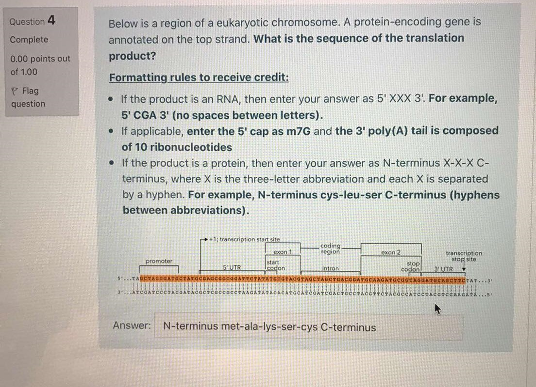 Solved Question 4 Complete Below is a region of a eukaryotic | Chegg.com