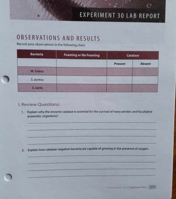 Solved EXPERIMENT 30 LAB REPORT OBSERVATIONS AND RESULTS | Chegg.com
