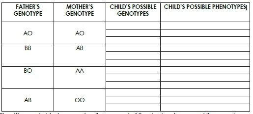 Solved Predict the GENOTYPES and PHENOTYPE of the child | Chegg.com