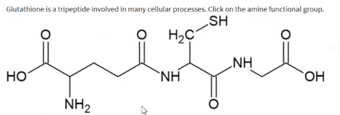 Solved Glutathione is a tripeptide involved in many cellular | Chegg.com
