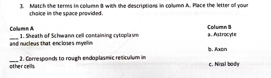 Solved 3. Match the terms in column B with the descriptions | Chegg.com