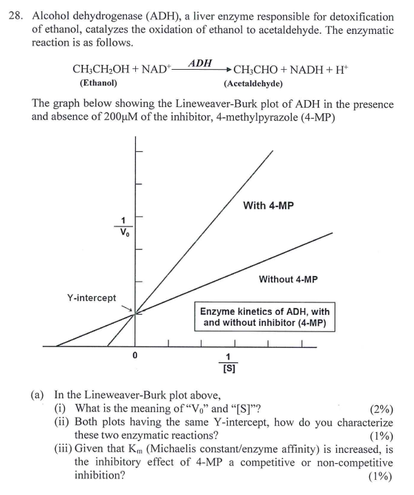 Solved 28. Alcohol dehydrogenase (ADH), a liver enzyme | Chegg.com