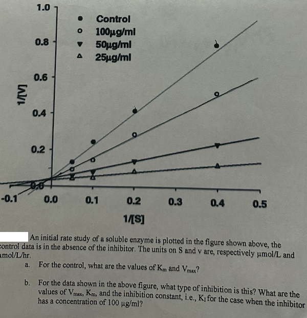 Solved An initial rate study of a soluble enzyme is plotted | Chegg.com