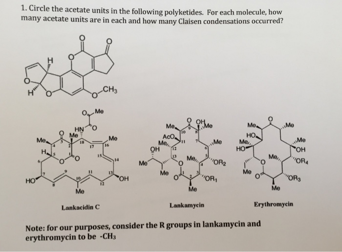 Solved Please help me Please circle the acetate units in | Chegg.com