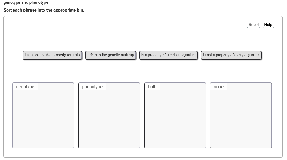 Solved genotype and phenotype Sort each phrase inothe | Chegg.com