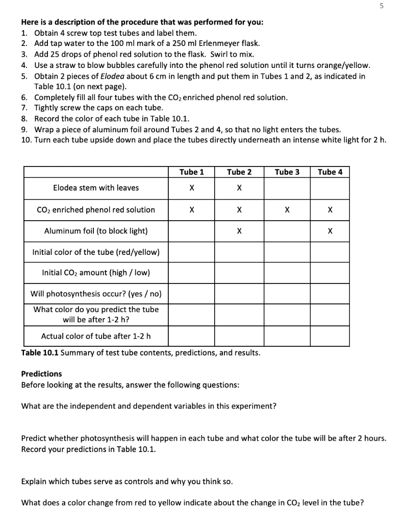 Activity 2. Observing Photosynthesis by Elodea via | Chegg.com