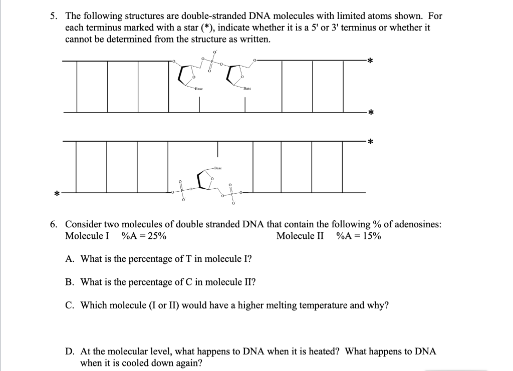 Solved 5. The following structures are double-stranded DNA | Chegg.com