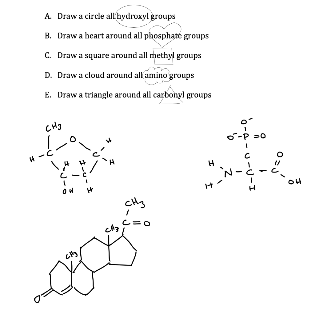Solved A. Draw a circle all hydroxyl groups B. Draw a heart | Chegg.com