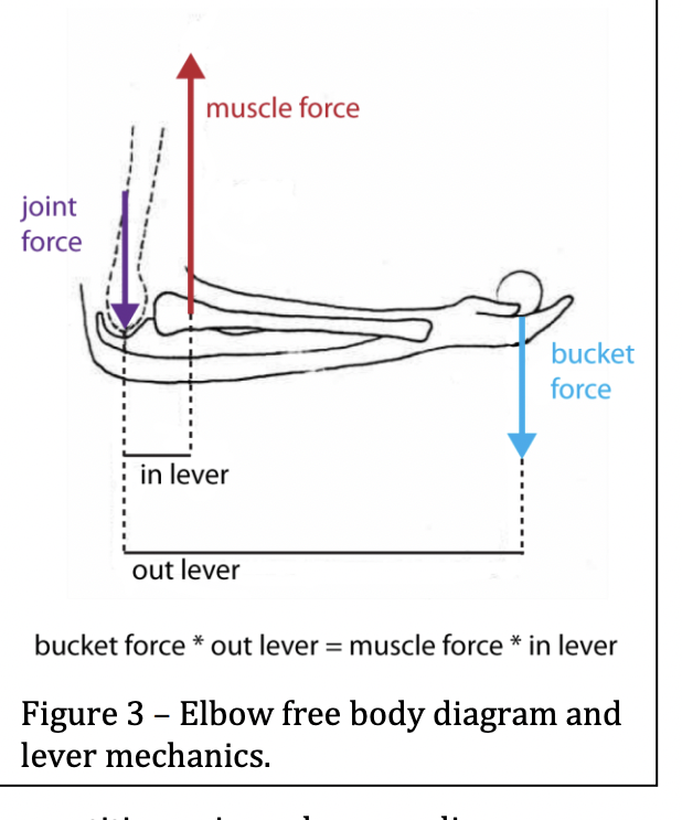 Procedure: With the EMG electrodes from Exercise #3 | Chegg.com