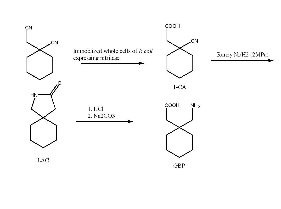 Solved CN COOH CN CN Immoblized whole cells of E.coil | Chegg.com