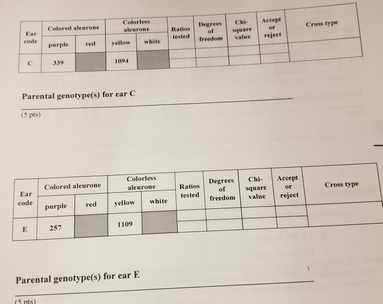 Solved Colorless aleurone Colored aleurone Ear code Ratios | Chegg.com