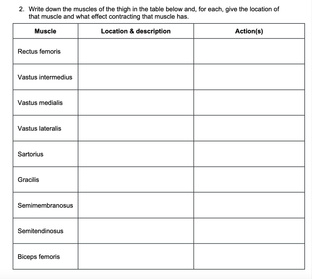 Solved 2. Write down the muscles of the thigh in the table | Chegg.com