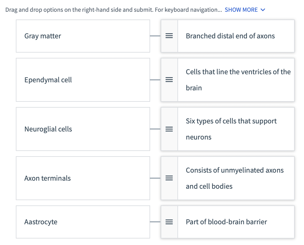 Solved Drag and drop options on the right-hand side and | Chegg.com