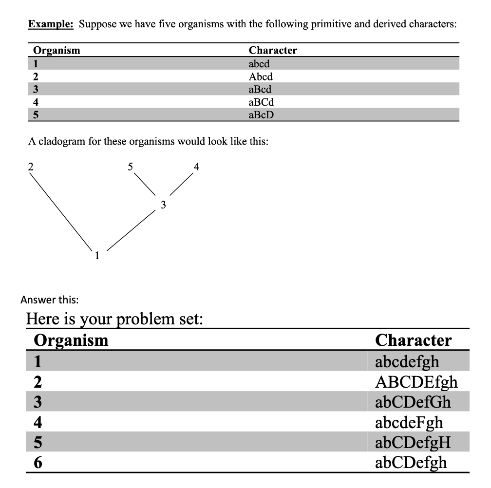 Solved Please help me make a Cladogram (example image | Chegg.com
