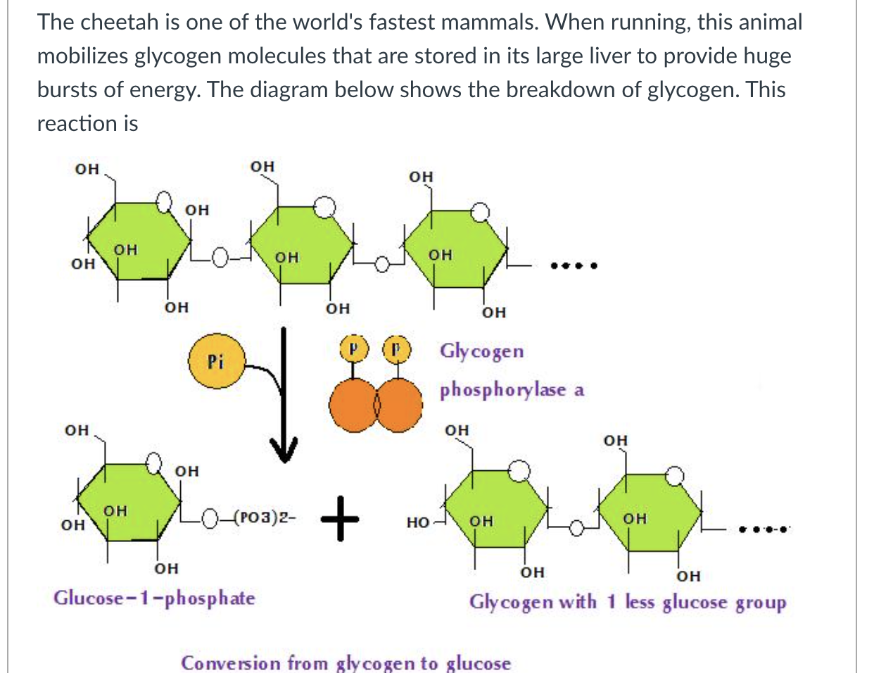 Solved The cheetah is one of the world's fastest mammals. | Chegg.com