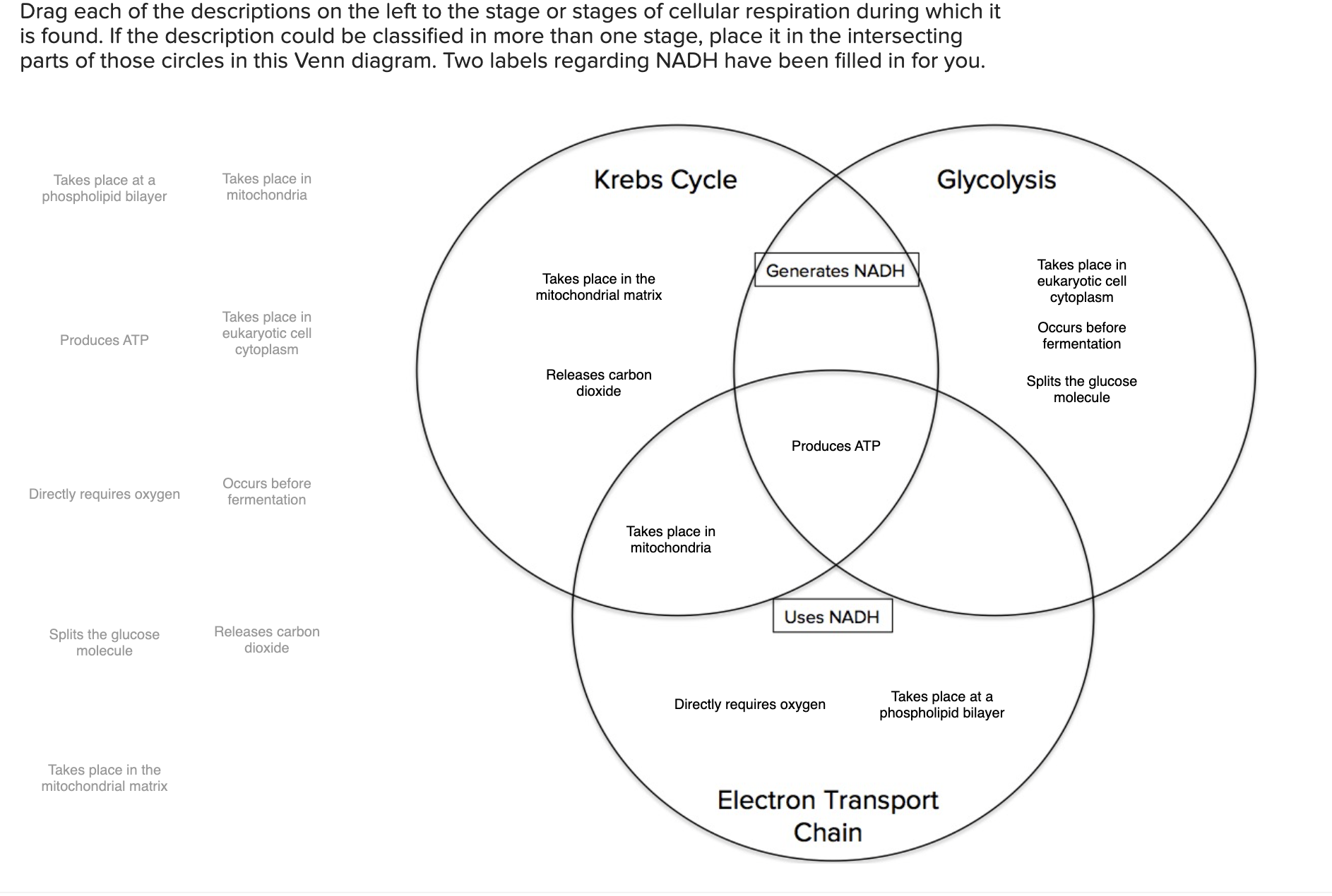 Solved Drag each of the descriptions on the left to the | Chegg.com