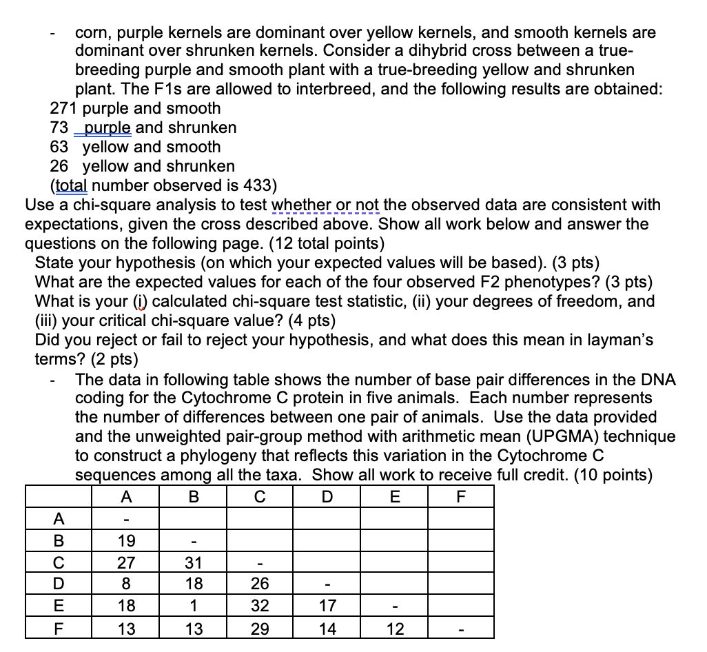 Solved corn, purple kernels are dominant over yellow | Chegg.com