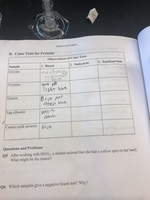Peptides and Proteins D. Color Tests for Proteins | Chegg.com