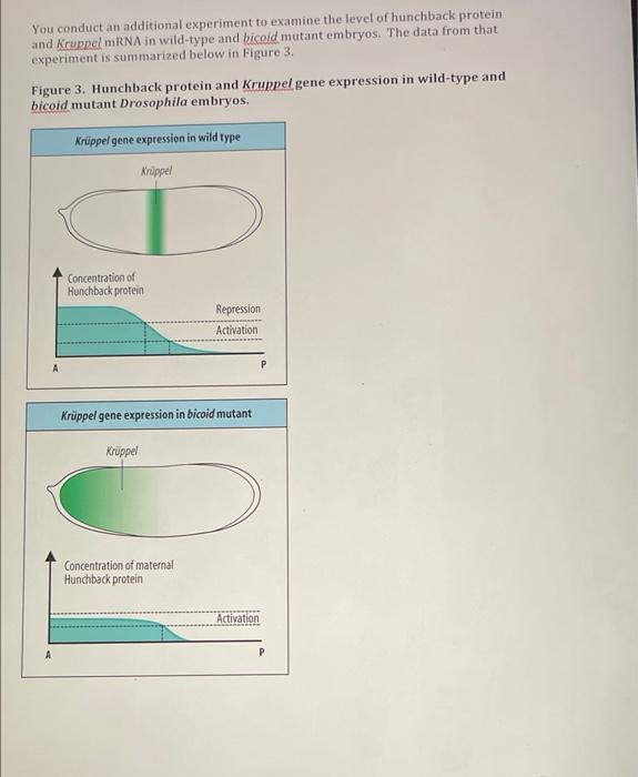 Solved 14. Based on the data summarized above, describe the | Chegg.com