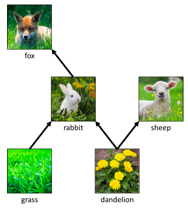 Solved Which two species in the food web shown above are in | Chegg.com