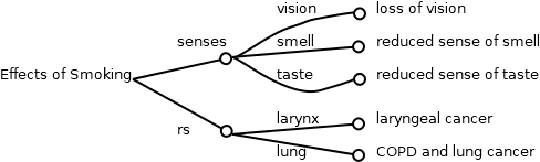 Solved C++ program Doctors use “mind maps” to help remember | Chegg.com