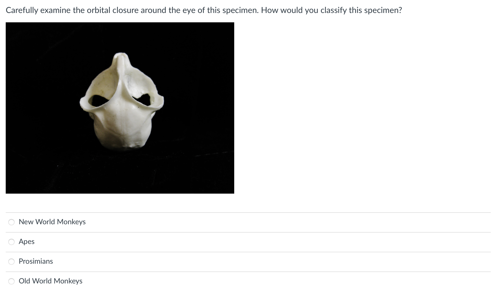 Solved Carefully examine the orbital closure around the eye | Chegg.com