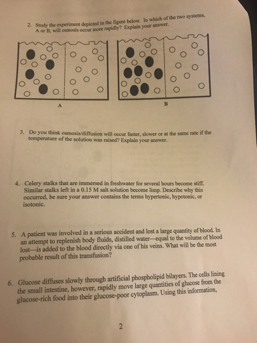 Solved Osmesis BIOL1100: Membranes II-Diffusion and 1. The | Chegg.com